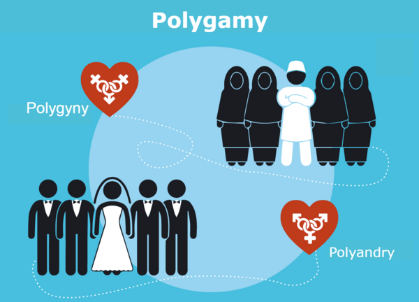 Polygamie – WikiMANNia